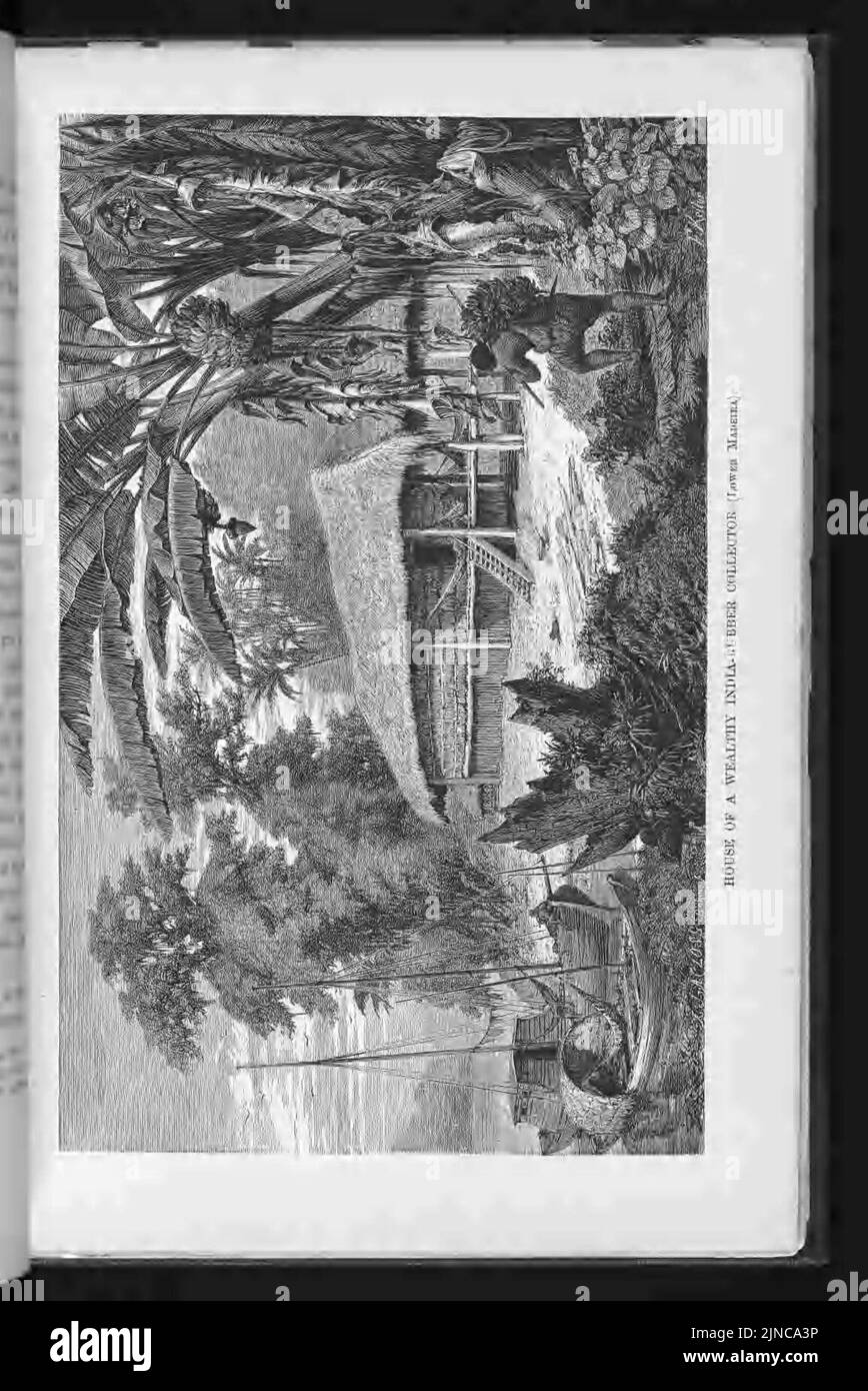 Amazon and madeira rivers hi-res stock photography and images - Alamy