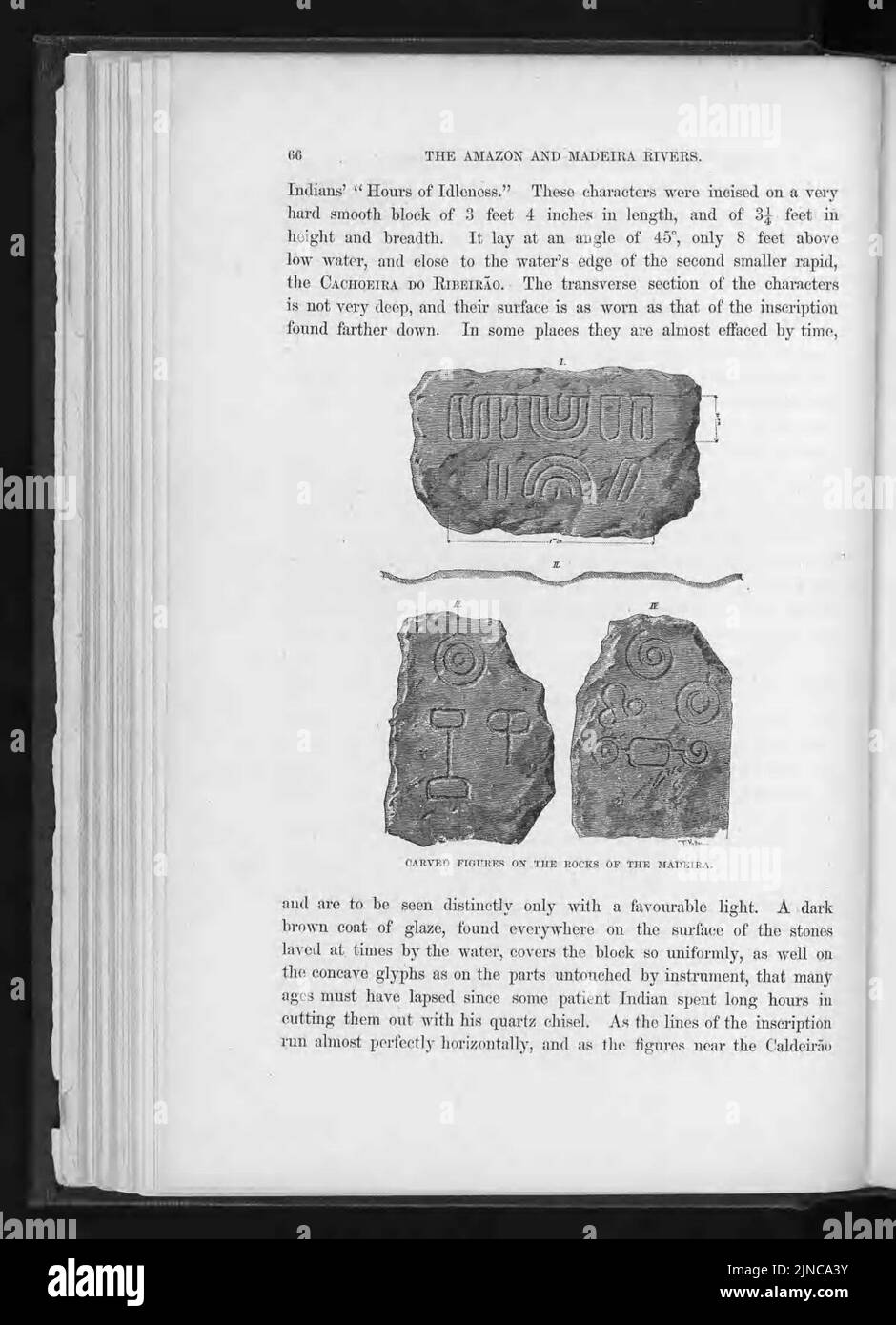 Amazon and madeira rivers hi-res stock photography and images - Alamy