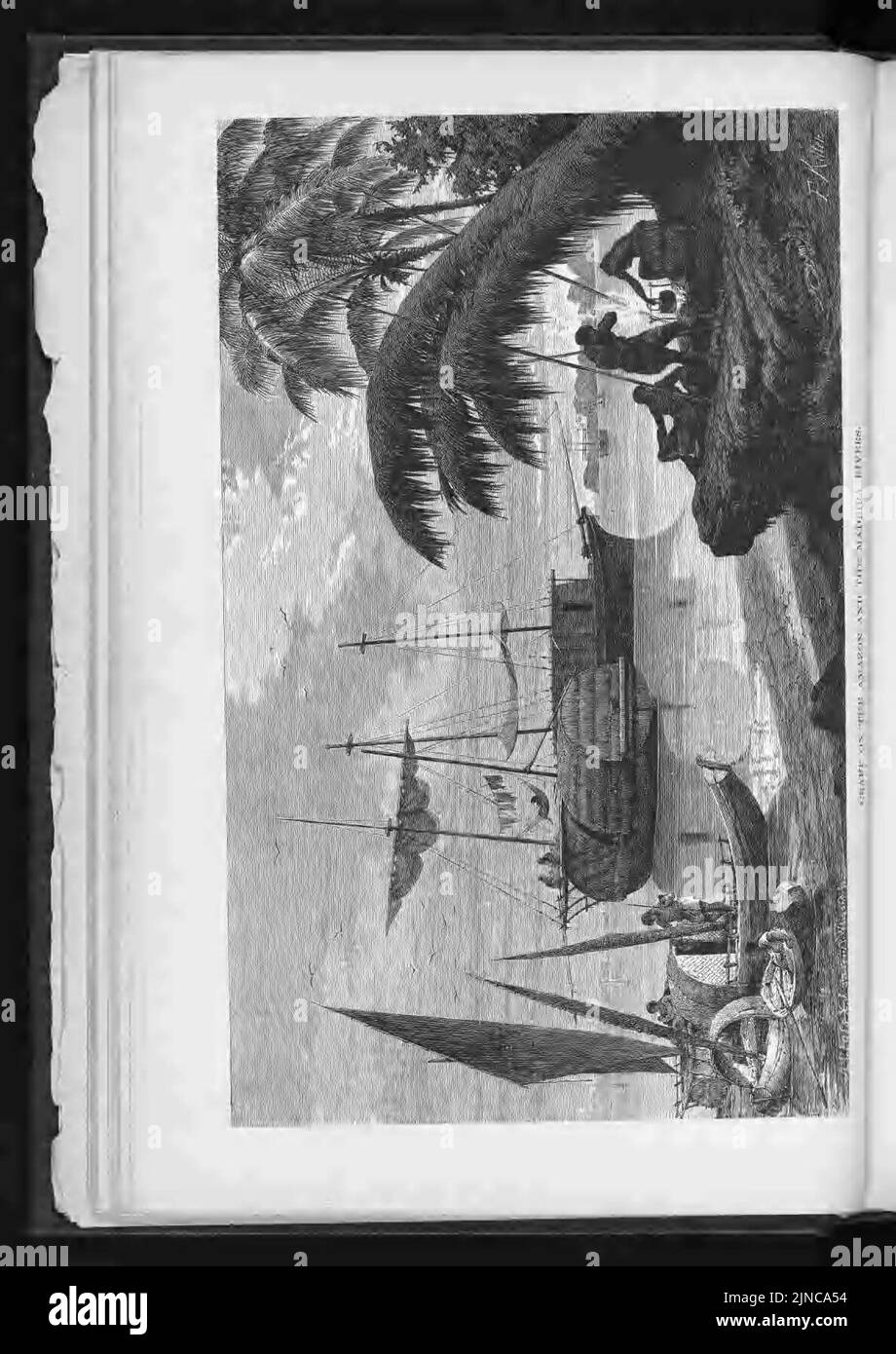 The Amazon and Madeira rivers Stock Photo - Alamy