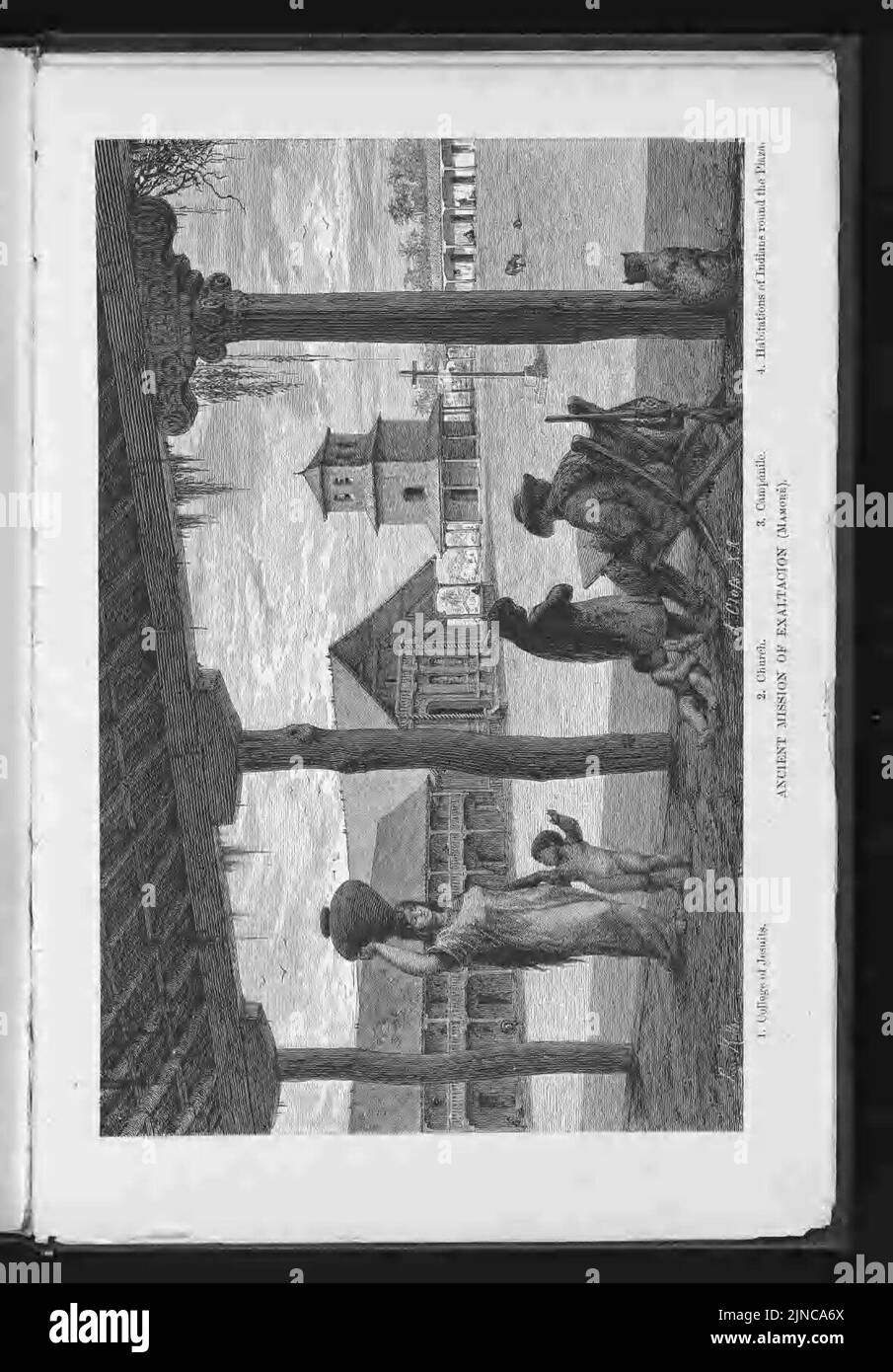 The Amazon and Madeira rivers Stock Photo - Alamy