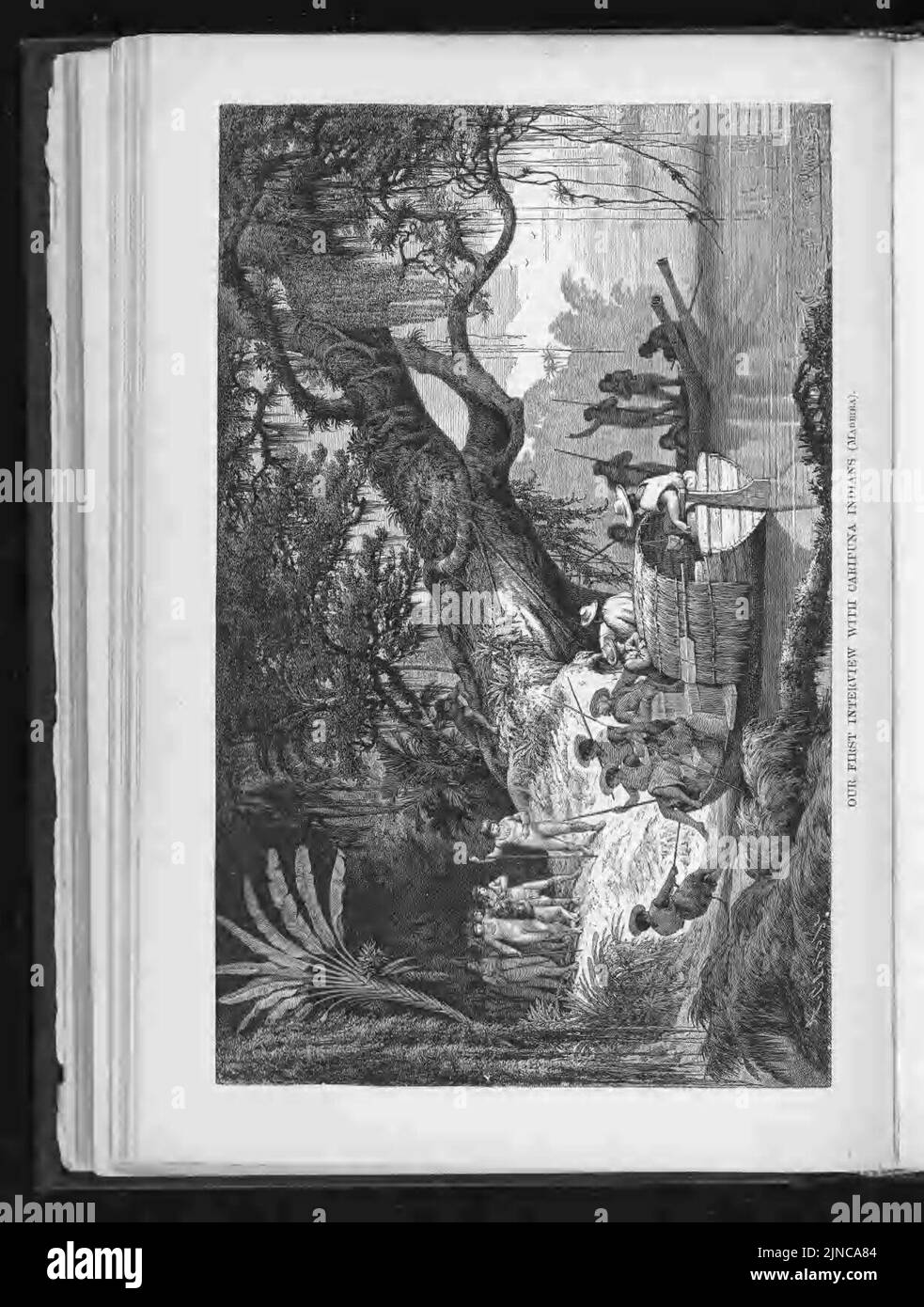 The Amazon and Madeira rivers Stock Photo - Alamy