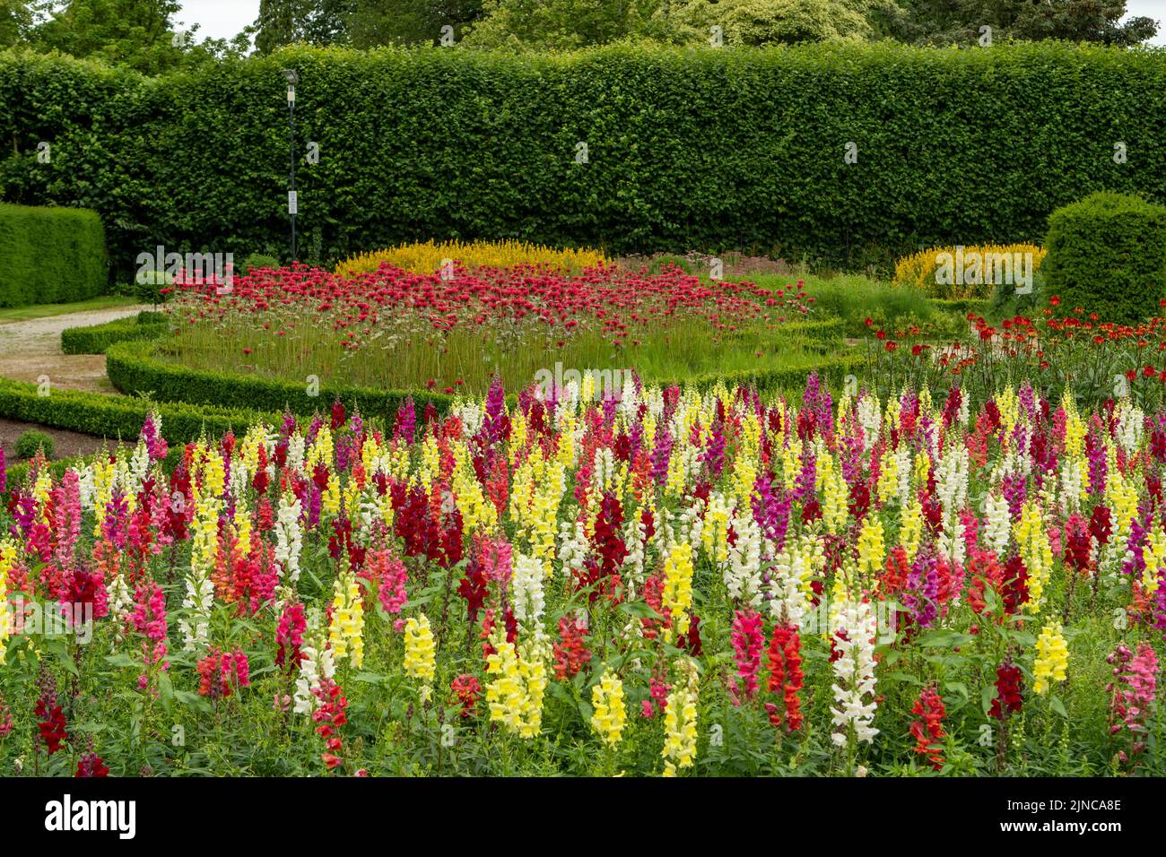 Parterre garden hi-res stock photography and images - Alamy