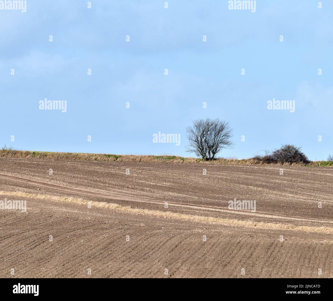 Early springtime in the countryside - Denmark. A photo of the ...