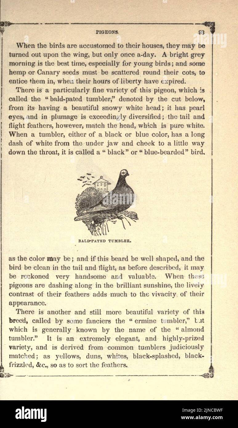 The American bird fancier; or, How to breed, rear, and care for song ...