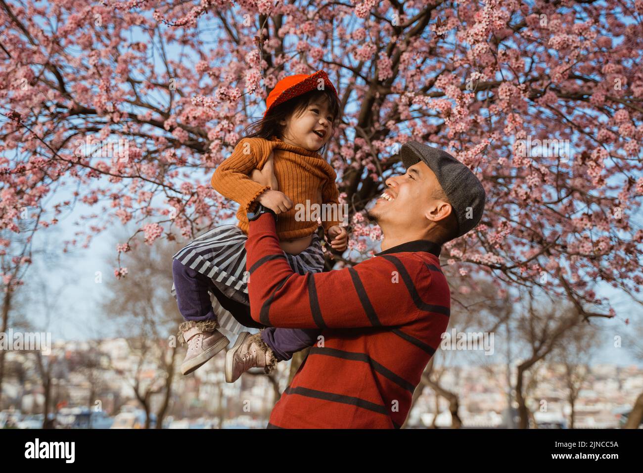 father and daughter looking at cherry blossom in the park Stock Photo ...