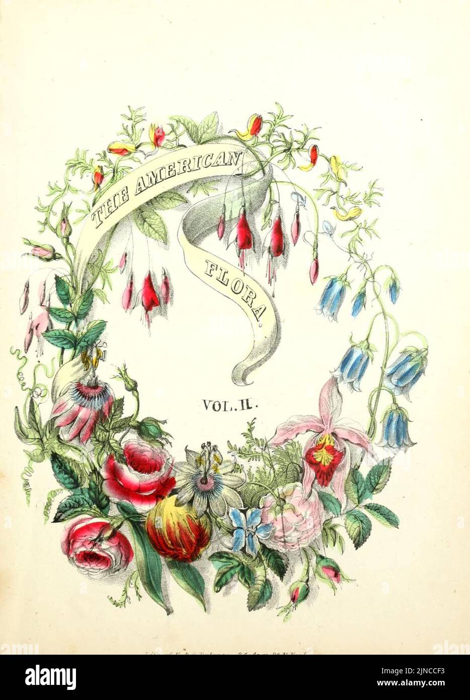 The American flora (Cover Page Stock Photo - Alamy