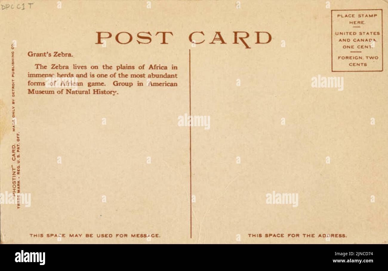 The American Museum of Natural History, 4, Grant's Zebra Stock Photo ...