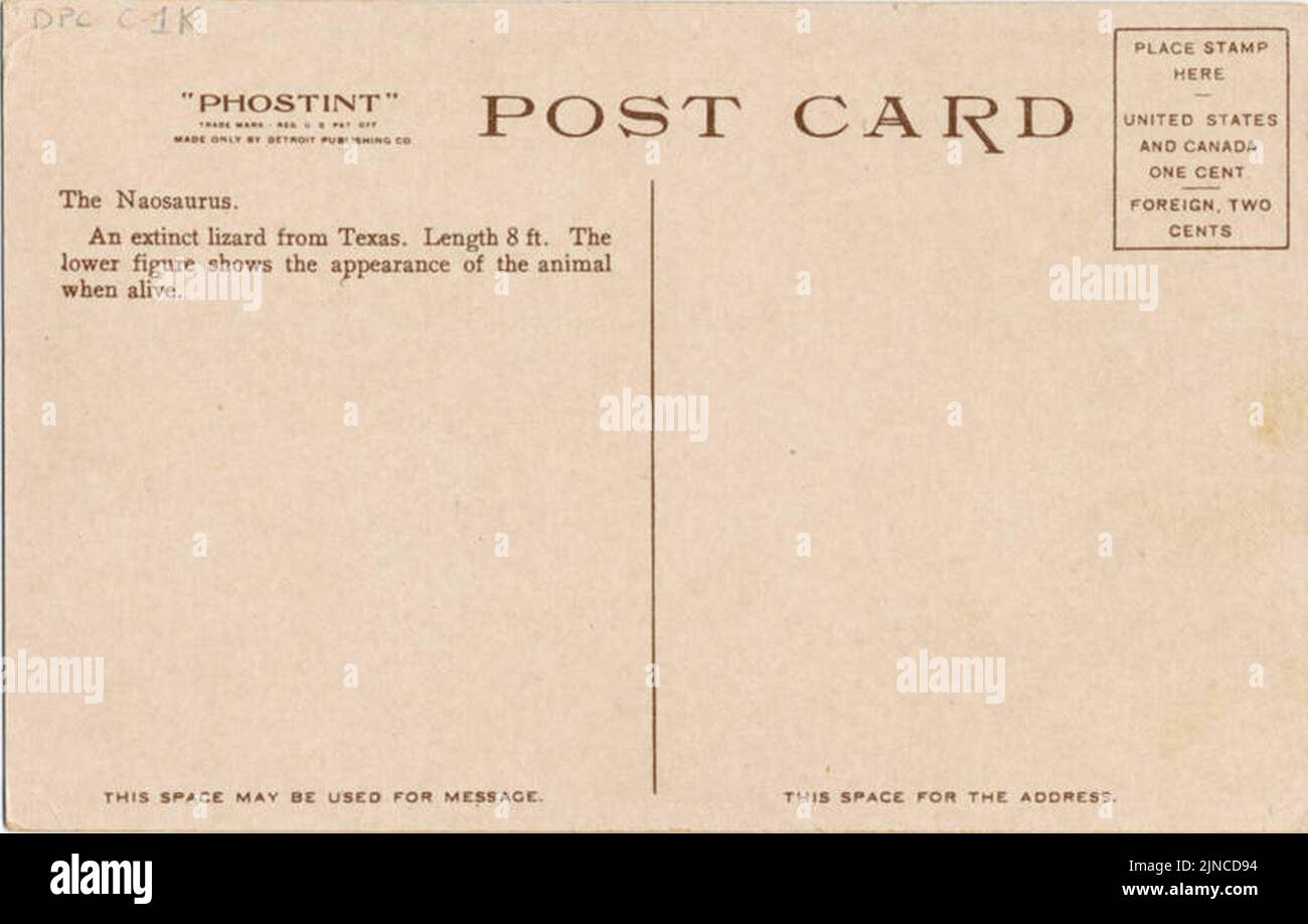 The American Museum of Natural History, 2, The Naosaurus Stock Photo ...