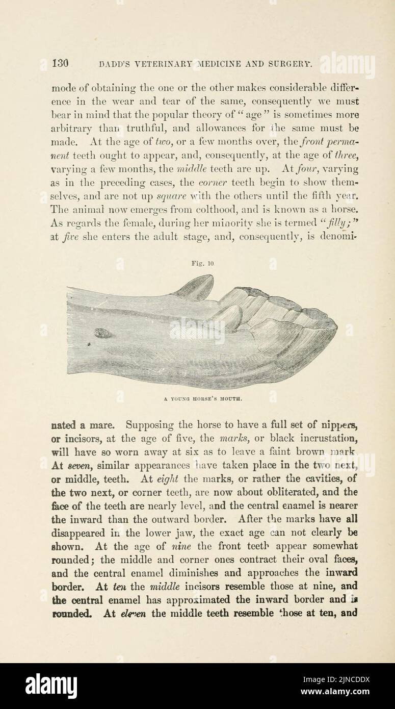 The American reformed horse book (Page 130 Stock Photo - Alamy