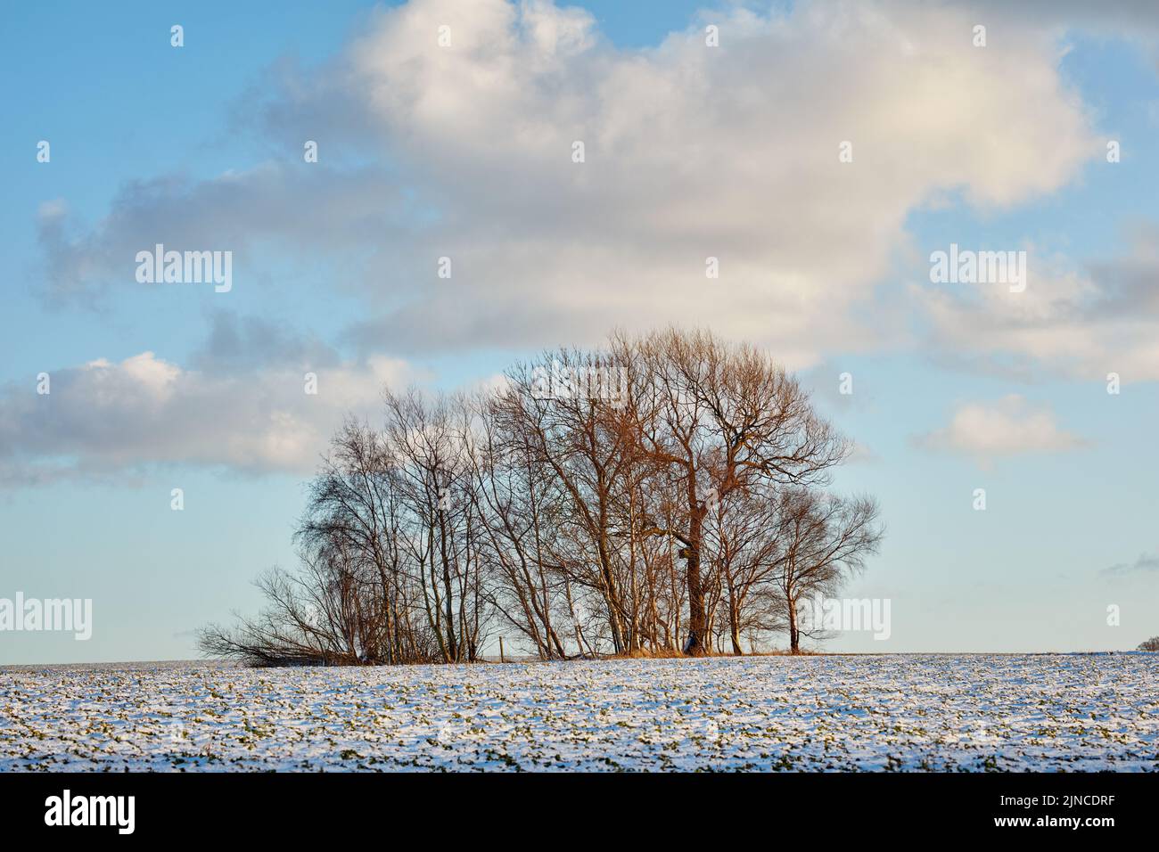 Farmland in winter - Denmark. Farmland in wintertime - Denmark Stock ...