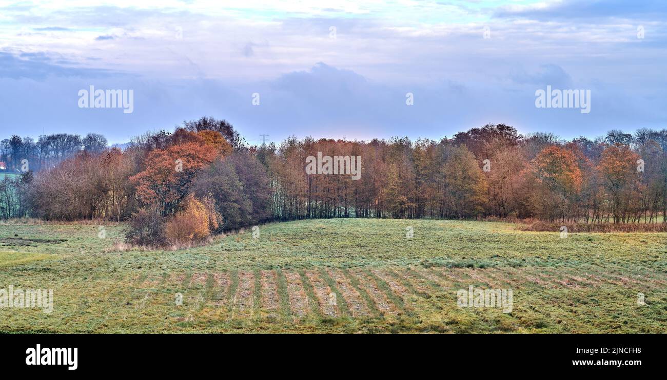 Autumn fields. A photo of a vibrant country field in early autumn Stock ...