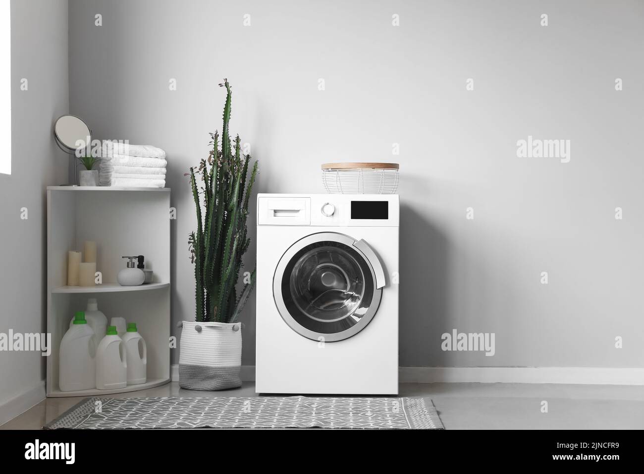 Interior of modern laundry room with washing machine, cactus and ...
