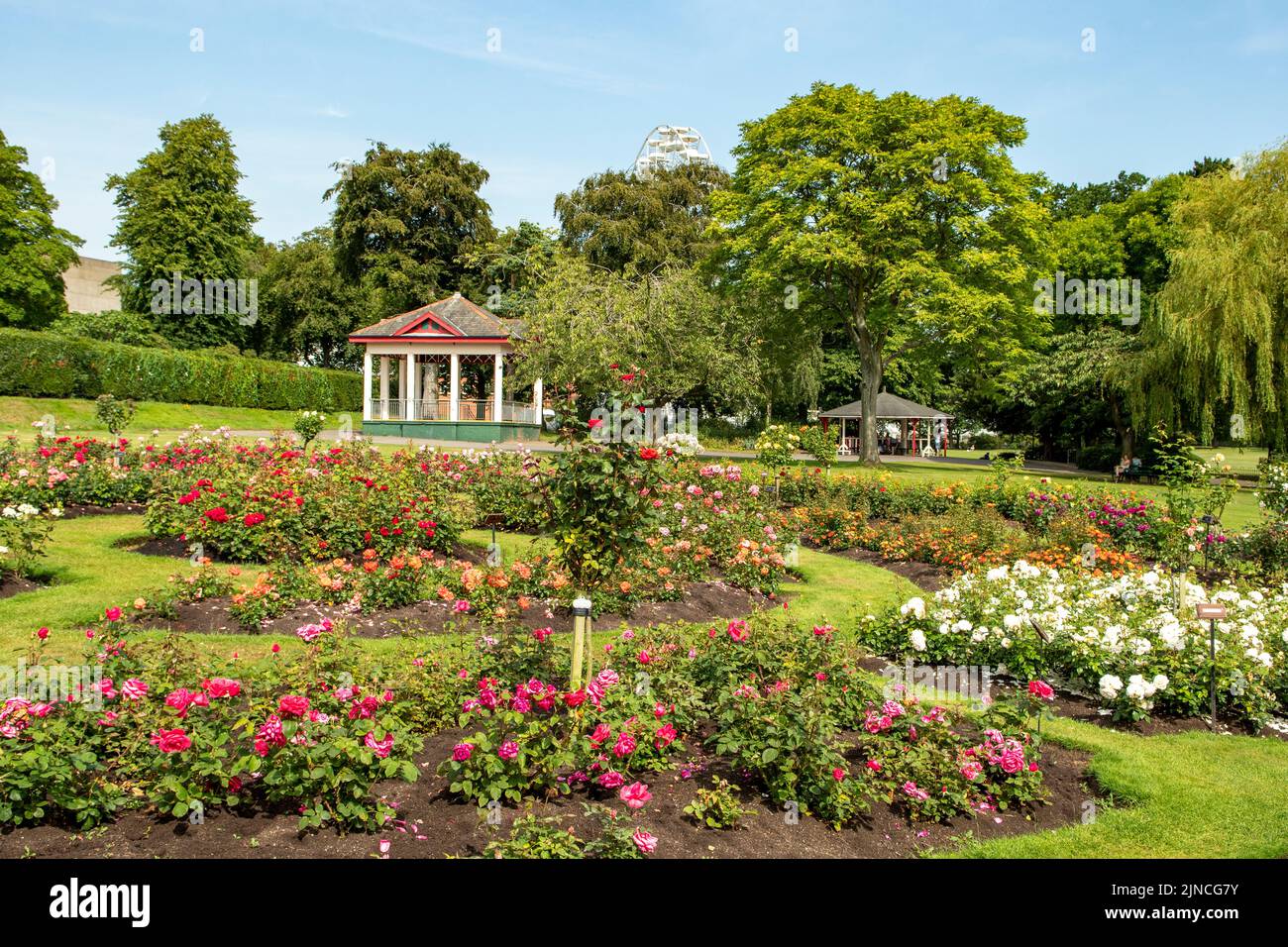 Rose Garden, Botanical Gardens, Belfast, Northern Ireland Stock Photo ...