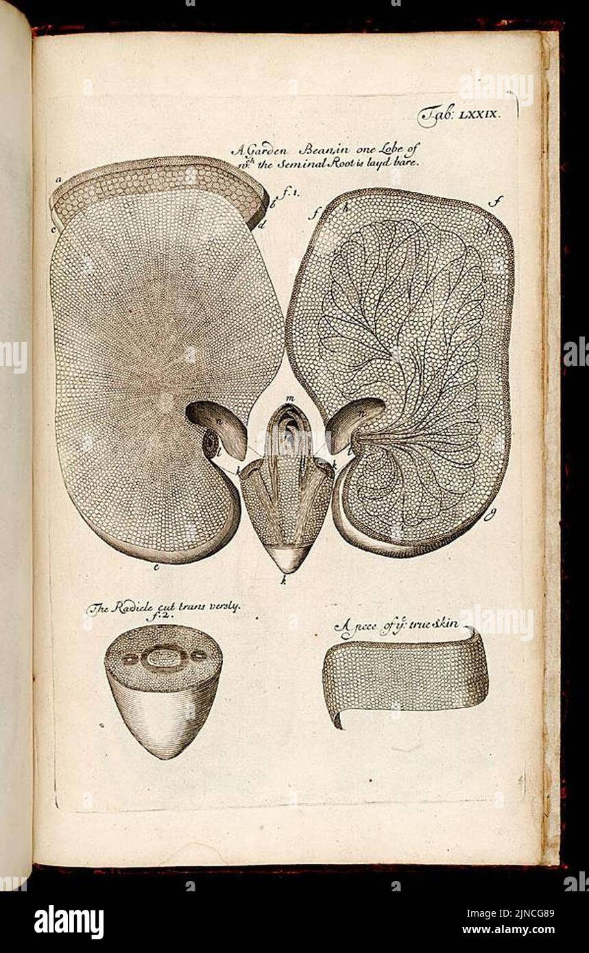 Tab 79 hi-res stock photography and images - Alamy