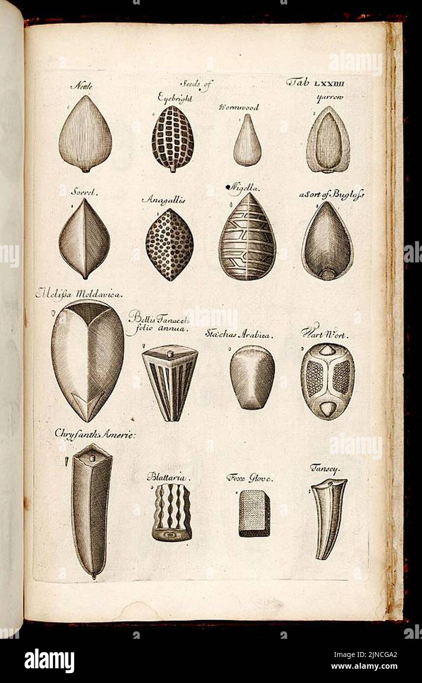 74 tab hi-res stock photography and images - Alamy