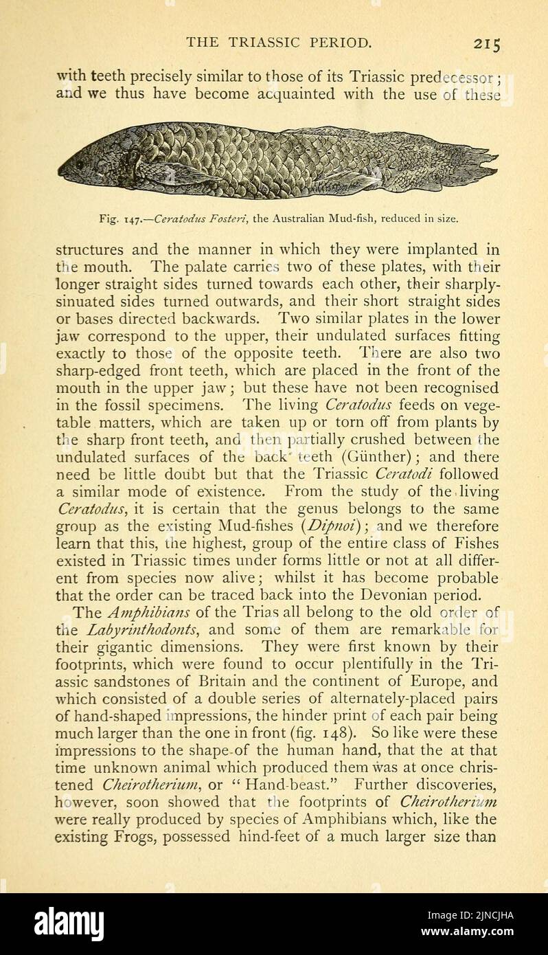 The ancient life-history of the earth (Page 215 Stock Photo - Alamy