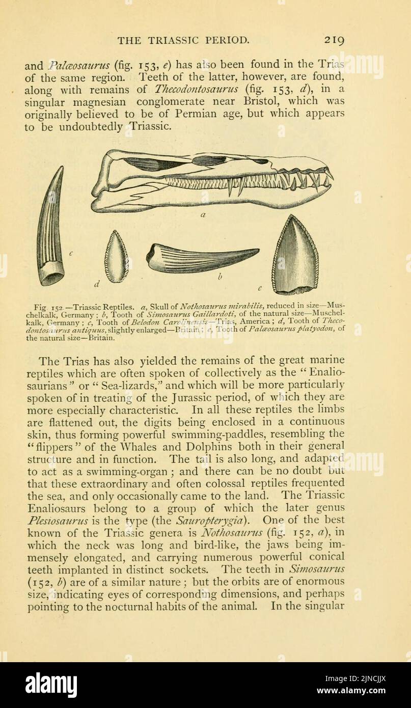 The ancient life-history of the earth (Page 219, Fig. 152 Stock Photo ...