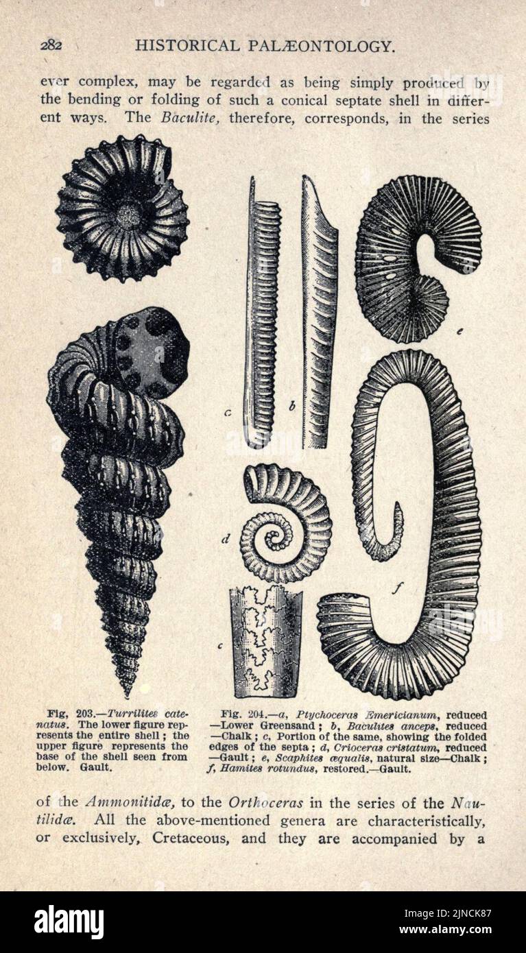 The ancient life-history of the earth (Page 282 Stock Photo - Alamy