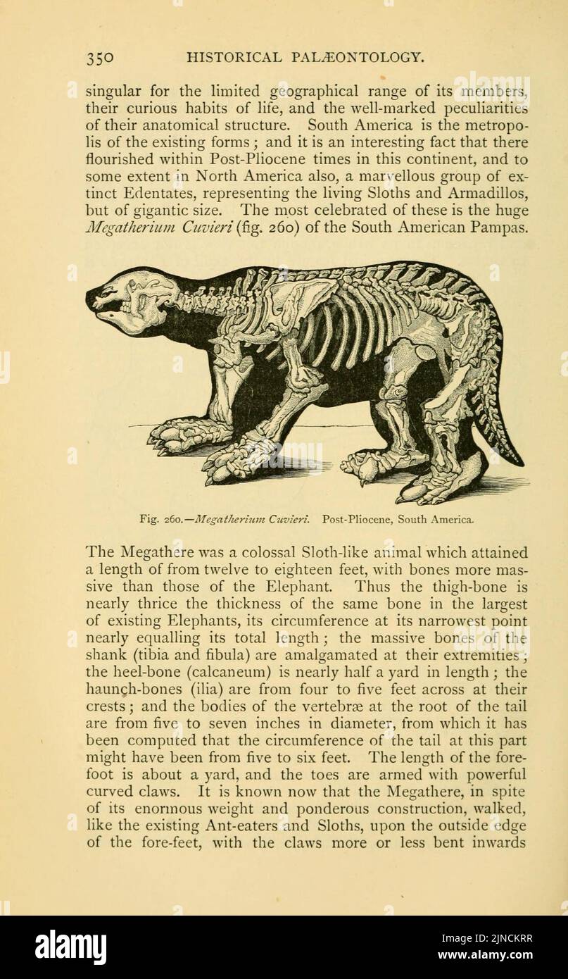 Fig 260 hi-res stock photography and images - Alamy