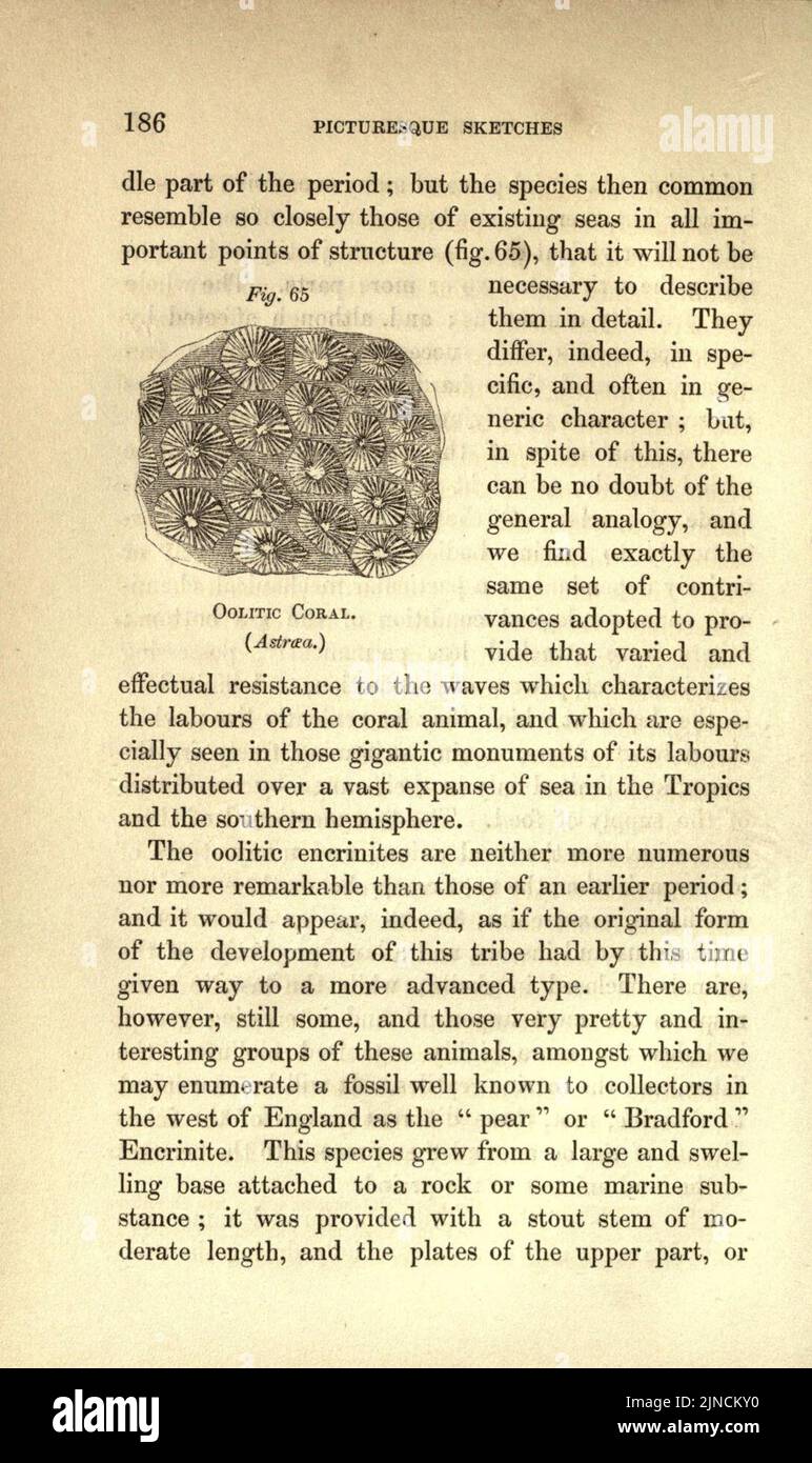 The ancient world (Page 186 Stock Photo - Alamy