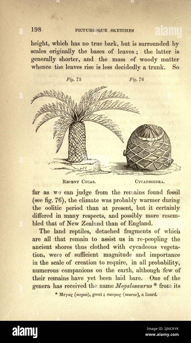 The ancient world (Page 198 Stock Photo - Alamy