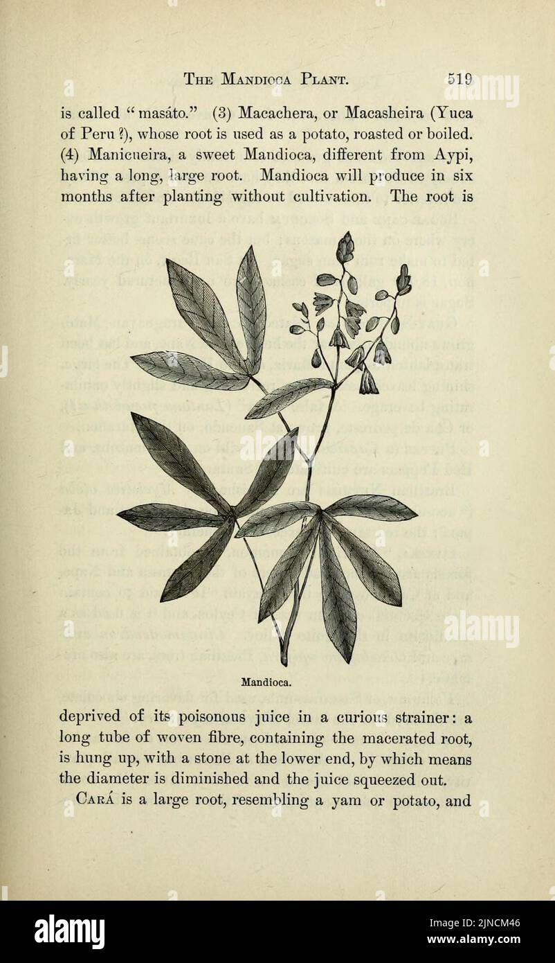 The Andes and the Amazon (Page 519 Stock Photo - Alamy