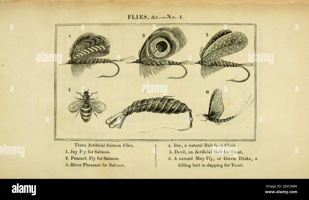 The angler's guide (Plate- Angling apparatus-no Stock Photo - Alamy