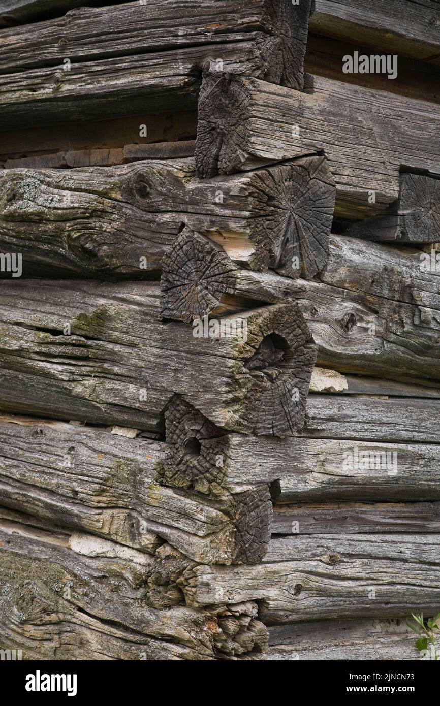 Close-up of interlocked old stacked logs forming the corner joints on ...