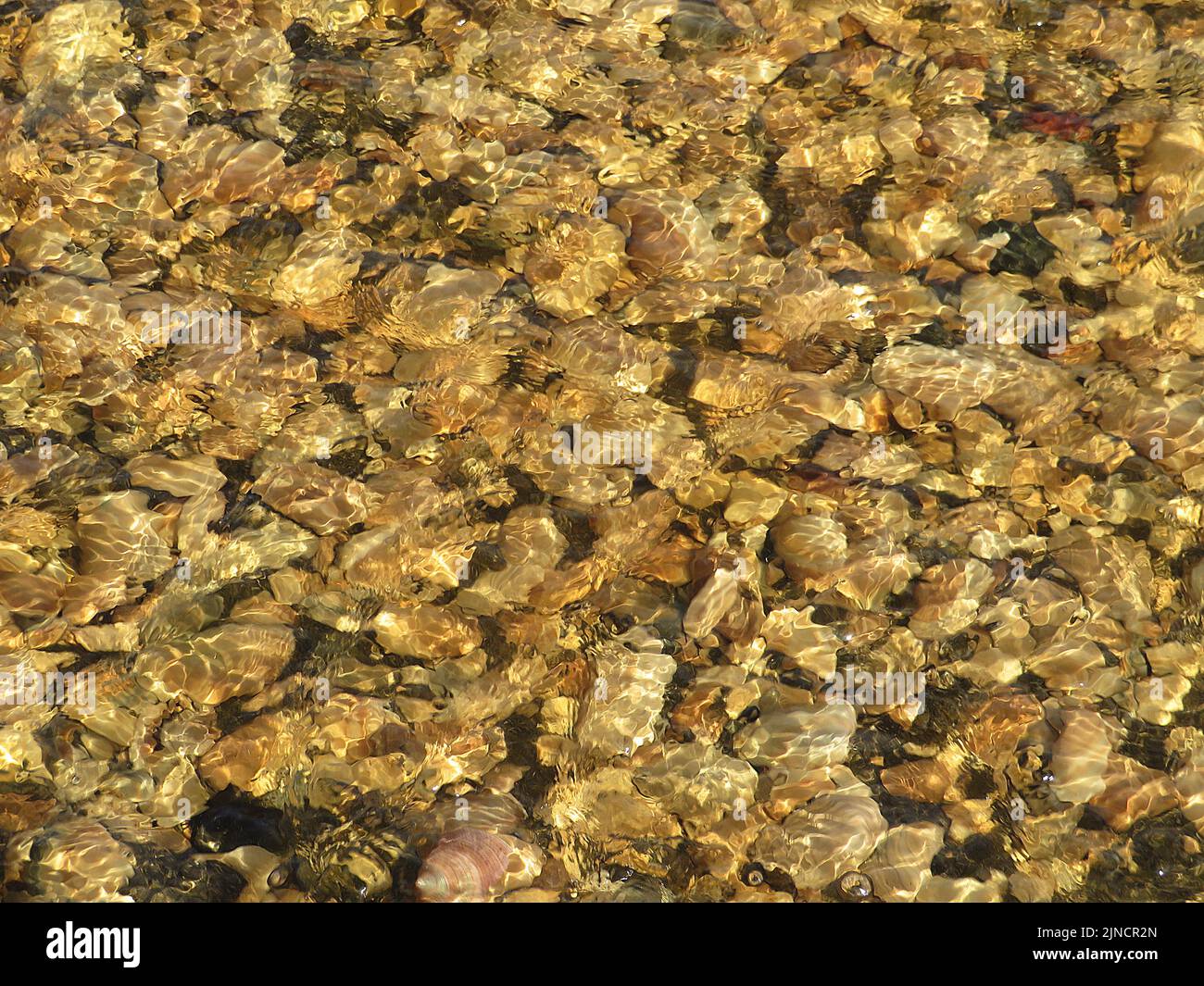 Water flowing over shells in streambed Stock Photo - Alamy