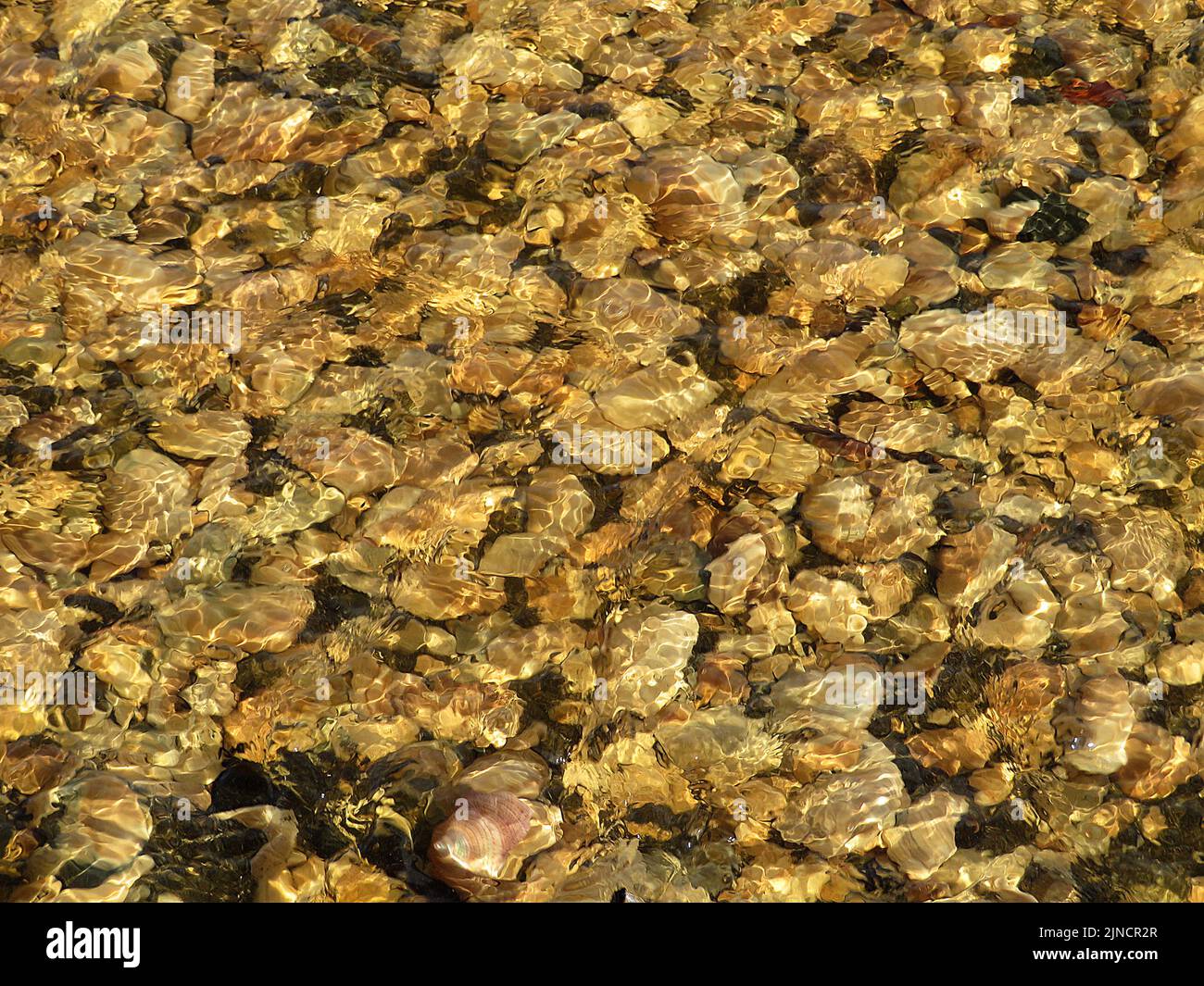 Water flowing over shells in streambed Stock Photo - Alamy