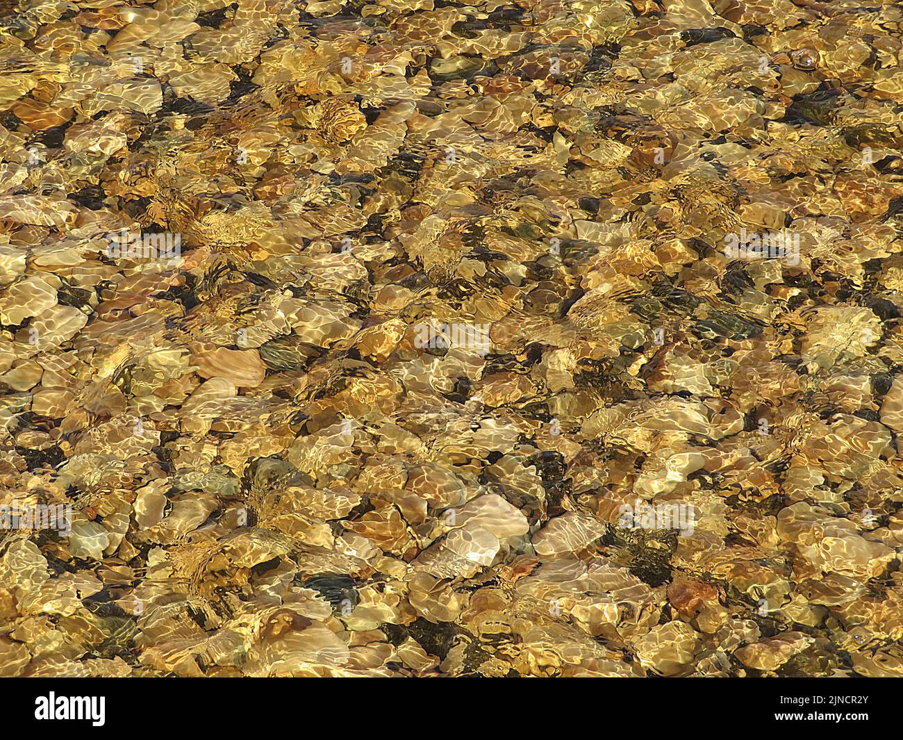 Water flowing over shells in streambed Stock Photo - Alamy