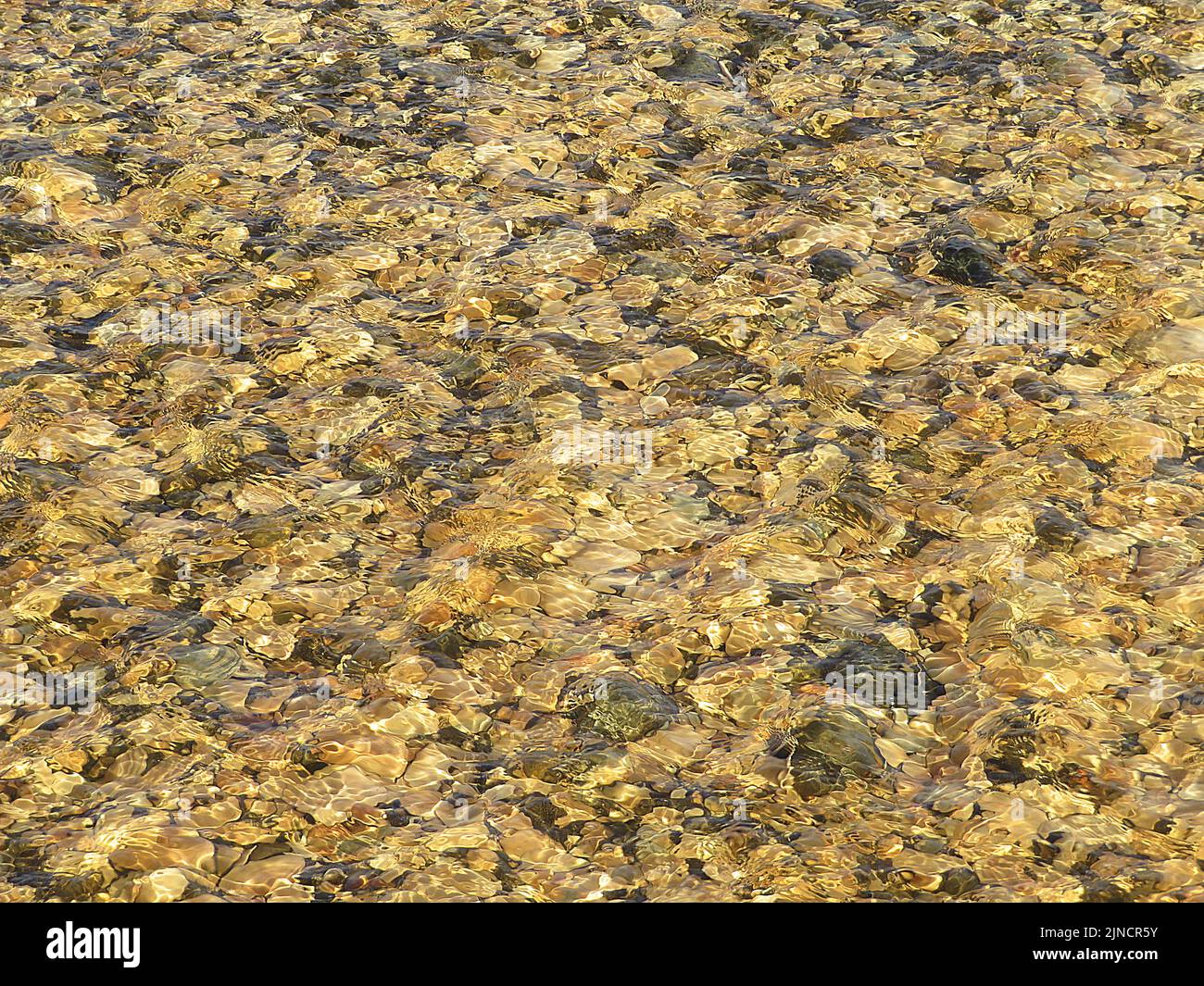 Water flowing over shells in streambed Stock Photo - Alamy