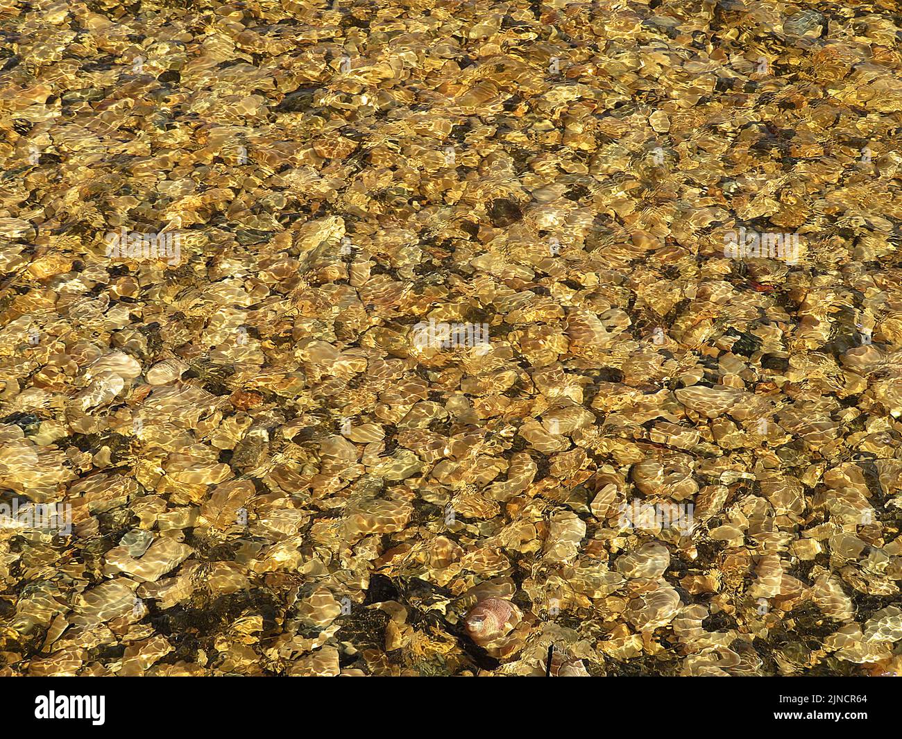 Water flowing over shells in streambed Stock Photo - Alamy