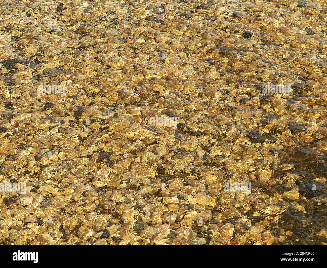Water flowing over shells in streambed Stock Photo - Alamy