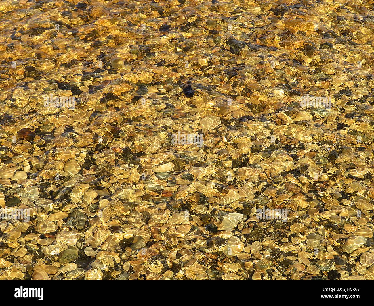 Water flowing over shells in streambed Stock Photo - Alamy