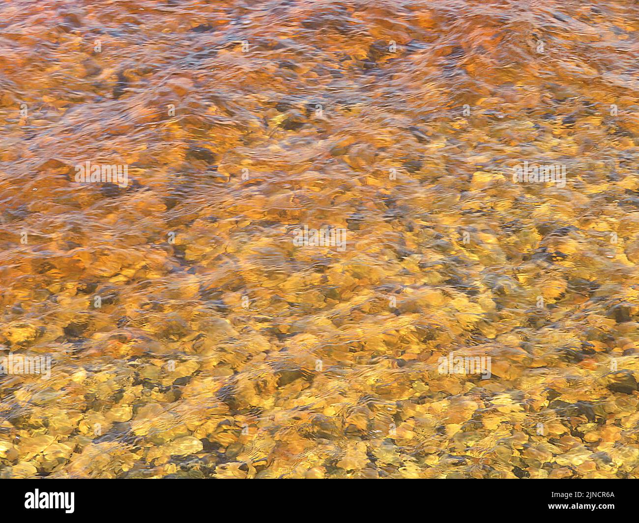 Water flowing over shells in streambed Stock Photo - Alamy