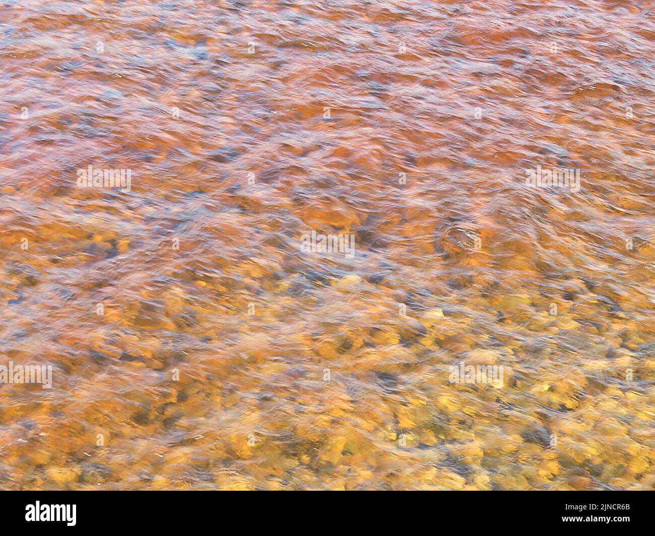 Water flowing over shells in streambed Stock Photo - Alamy