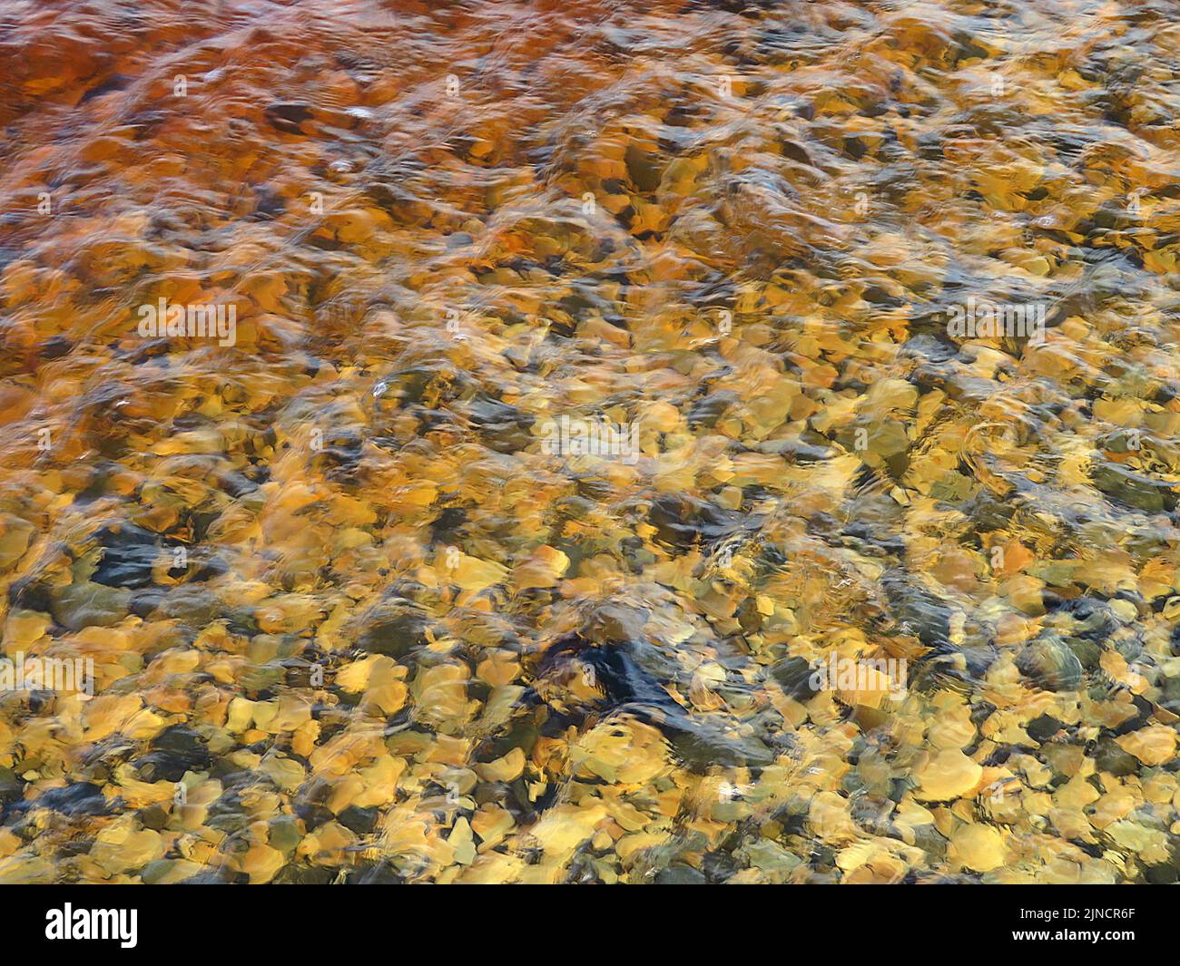Water flowing over shells in streambed Stock Photo - Alamy