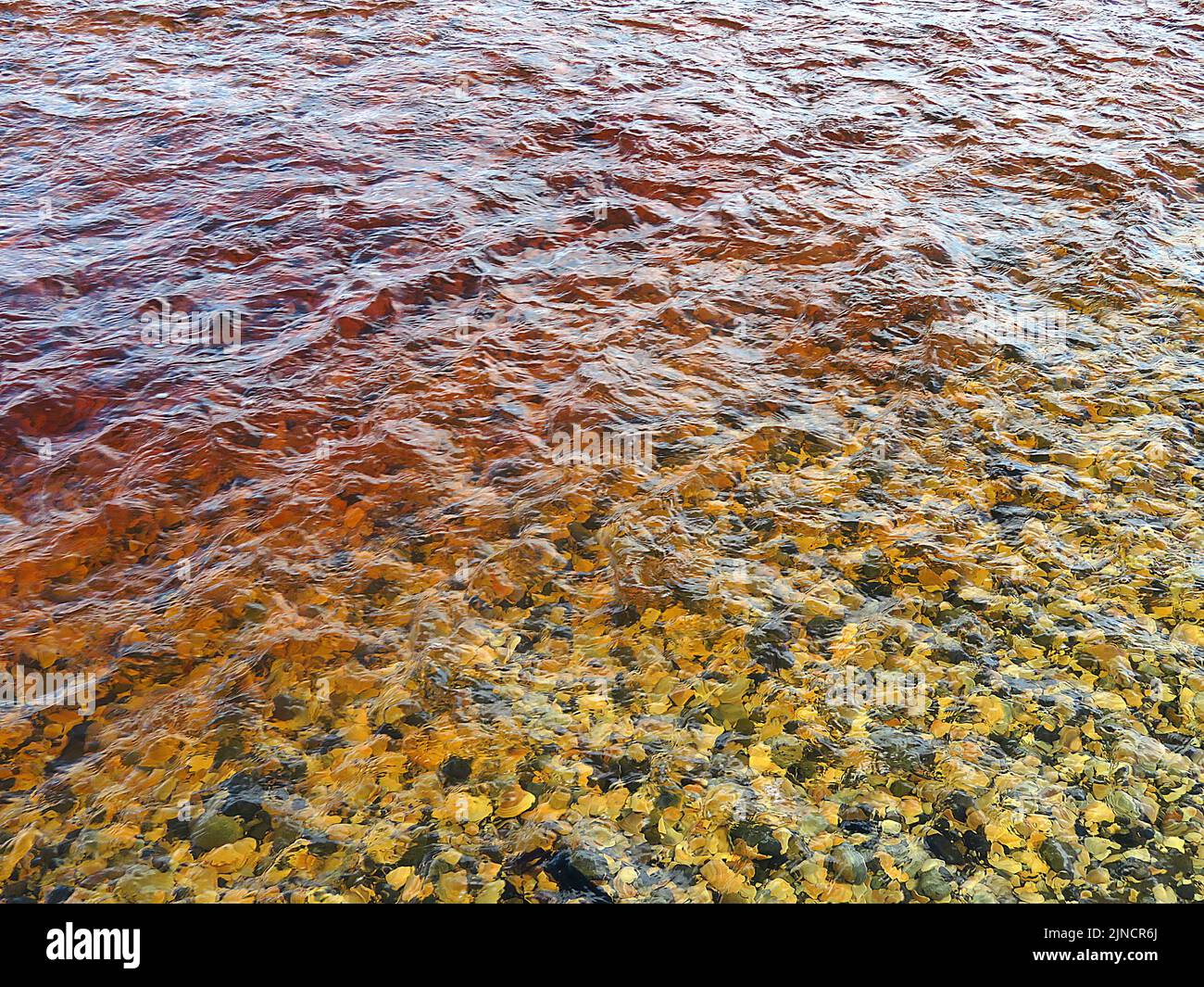 Water flowing over shells in streambed Stock Photo - Alamy