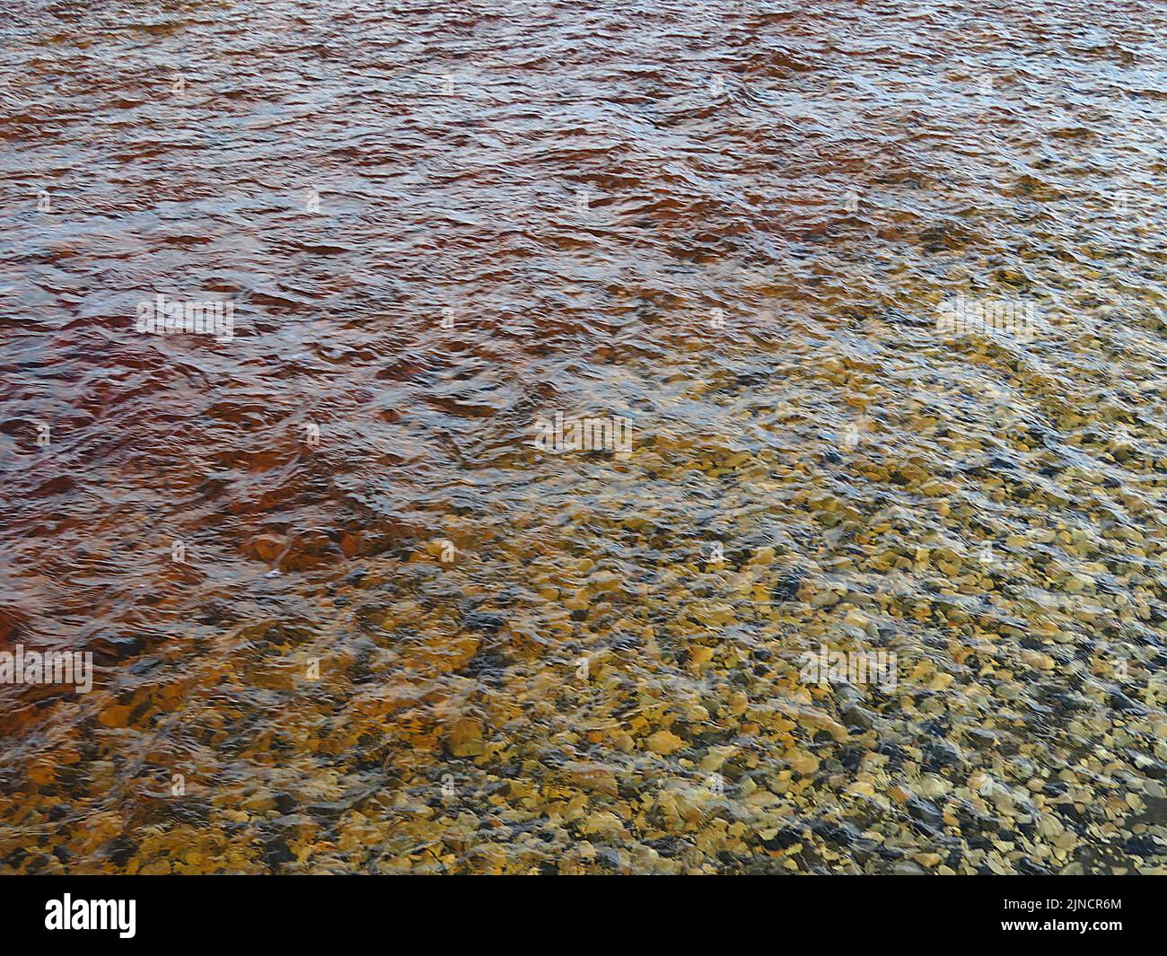 Water flowing over shells in streambed Stock Photo - Alamy