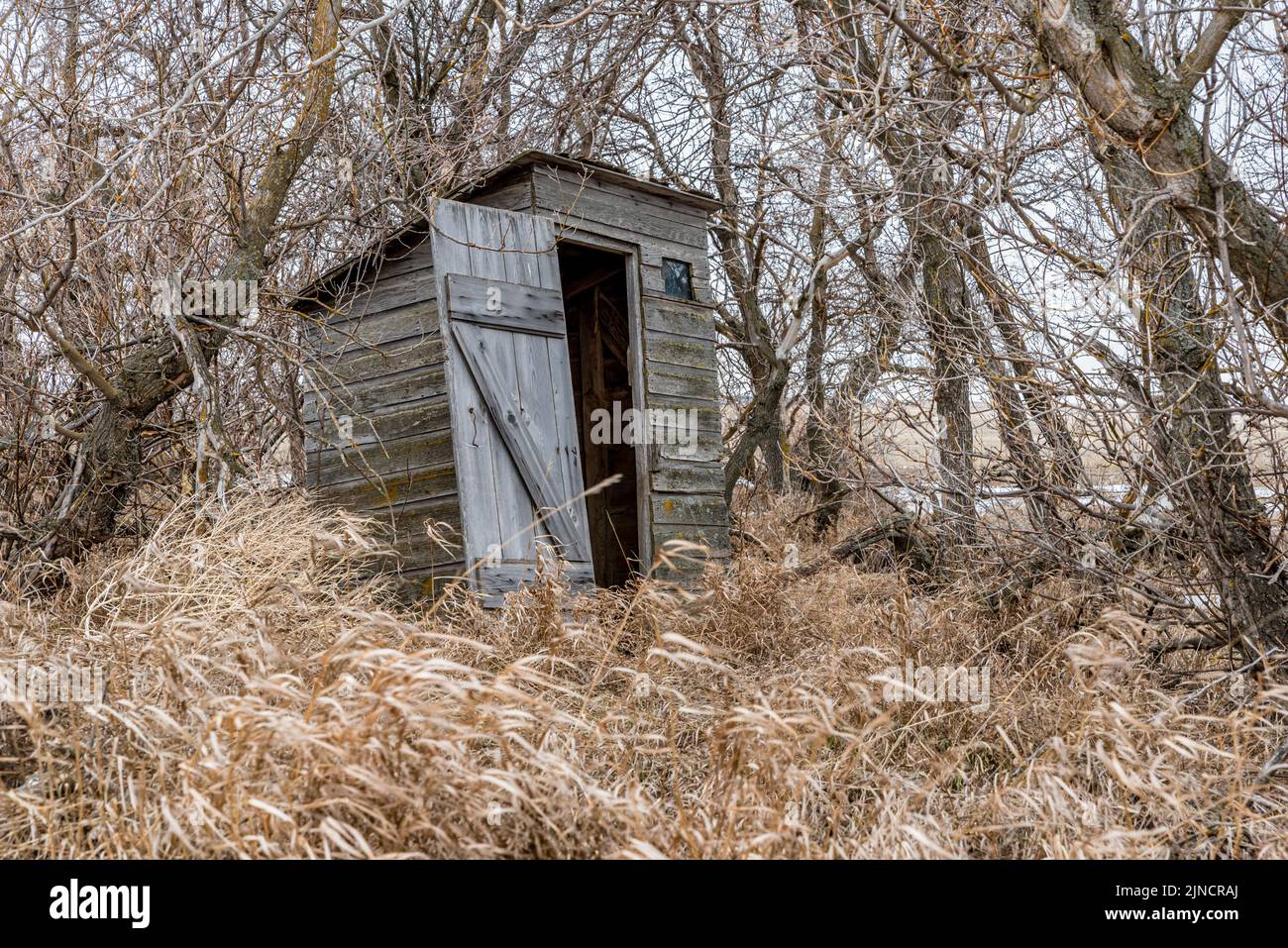 Old wooden outhouse in the bush on the prairie countryside in ...