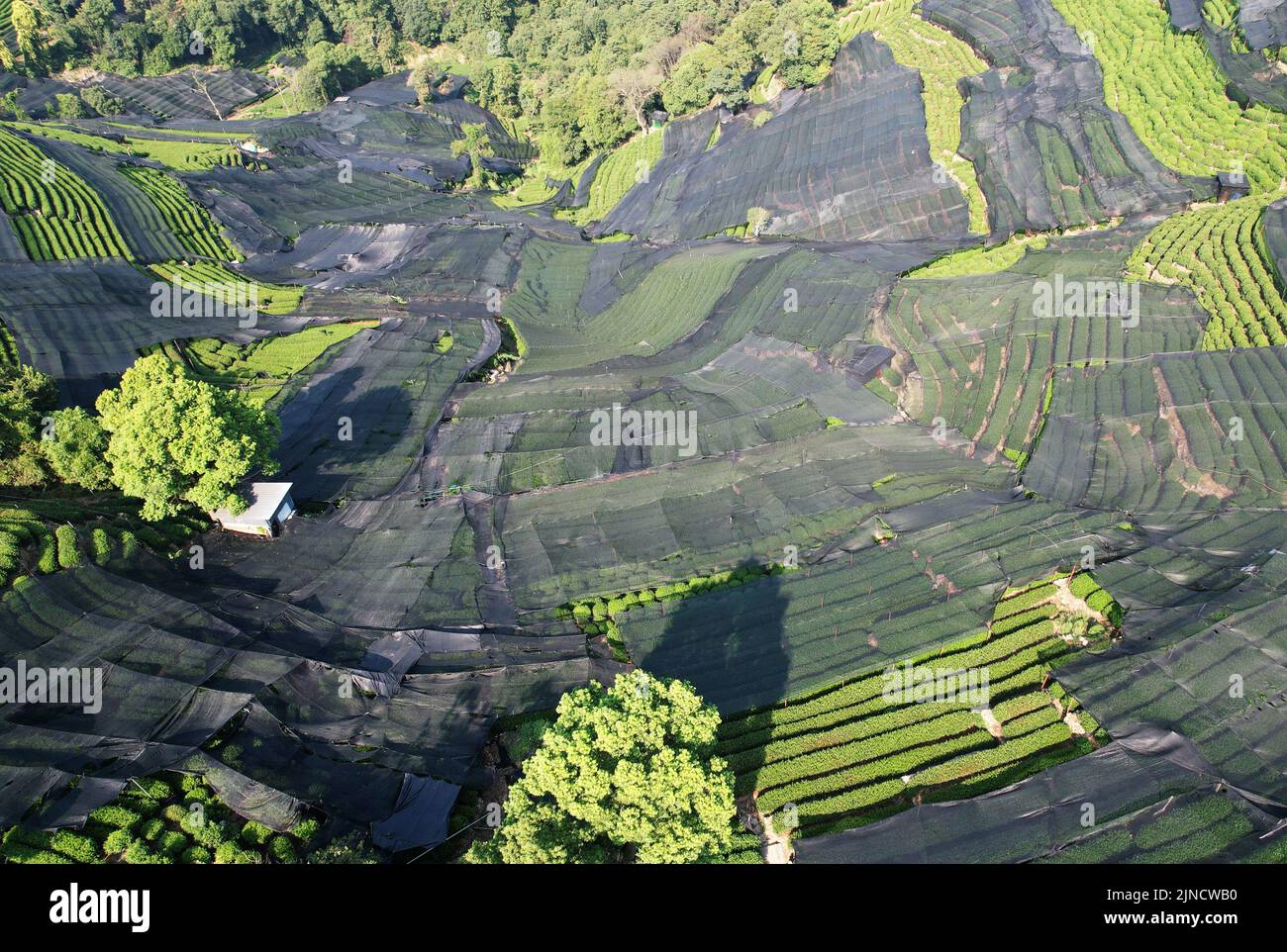 HANGZHOU, CHINA - AUGUST 11, 2022 - A large area of sun protection net ...