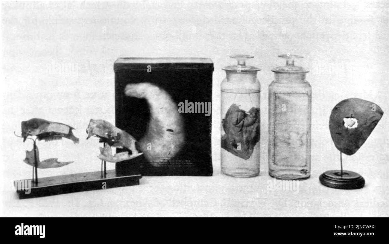 The Armed Forces Institute of Pathology - Figure 28 Stock Photo - Alamy