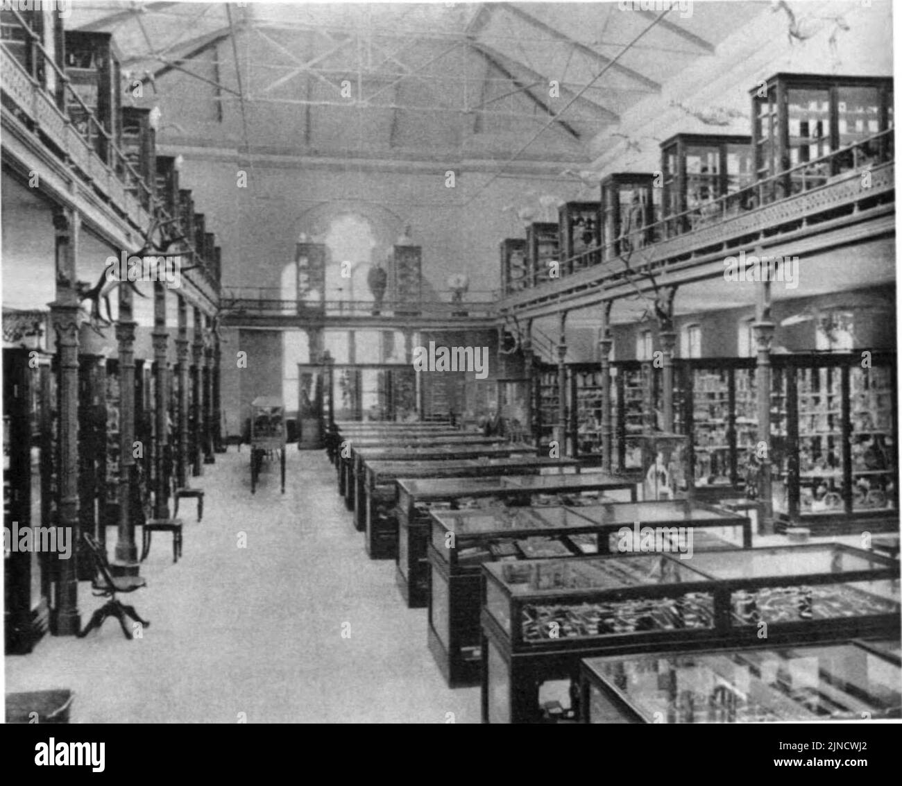 The Armed Forces Institute of Pathology - Figure 63 Stock Photo - Alamy