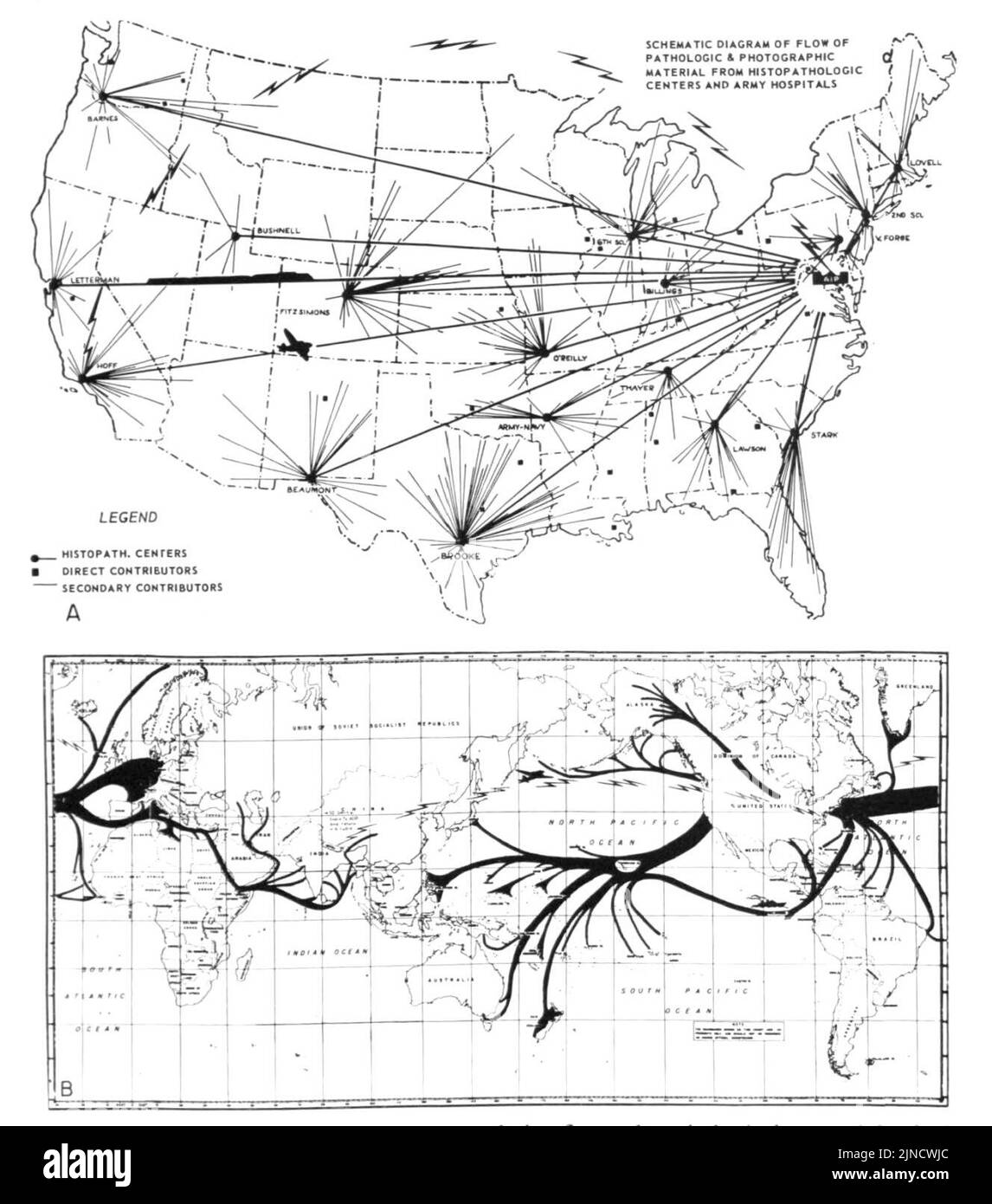The Armed Forces Institute of Pathology - Figure 77 Stock Photo - Alamy