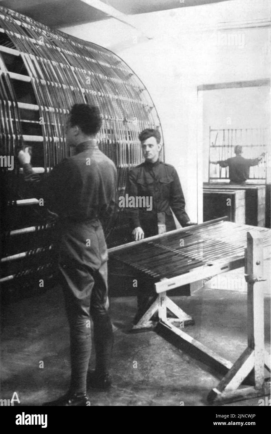 The Armed Forces Institute of Pathology - Figure 56a Stock Photo - Alamy