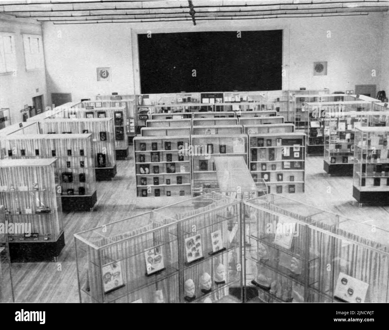 The Armed Forces Institute of Pathology - Figure 87 Stock Photo - Alamy