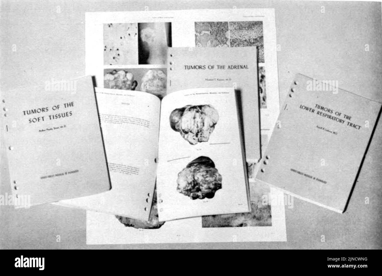 The Armed Forces Institute of Pathology - Figure 101 Stock Photo - Alamy