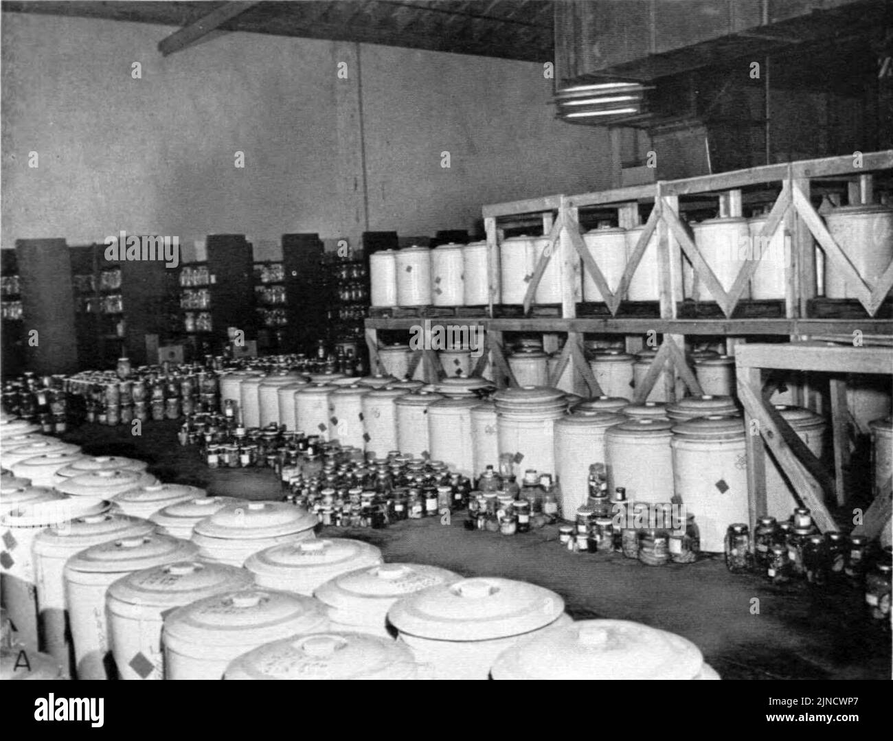 The Armed Forces Institute of Pathology - Figure 114a Stock Photo - Alamy