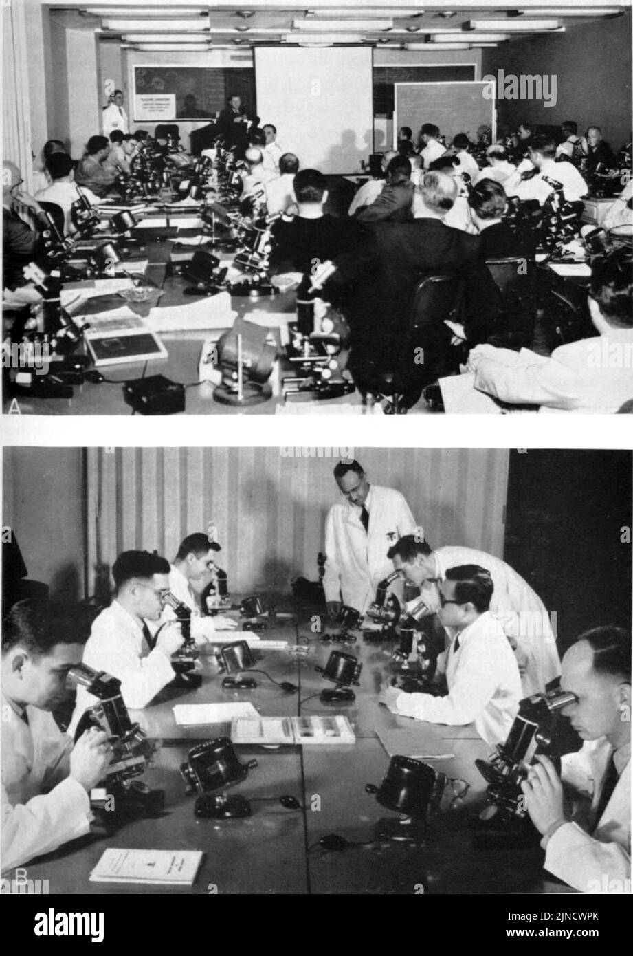 The Armed Forces Institute of Pathology - Figure 117 Stock Photo - Alamy